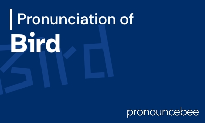 How To Pronounce Bird - Correct pronunciation of Bird