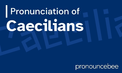 How To Pronounce Caecilians - Correct pronunciation of Caecilians