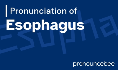 How To Pronounce Esophagus - Correct pronunciation of Esophagus