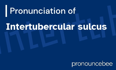 How To Pronounce Intertubercular sulcus - Correct pronunciation of ...