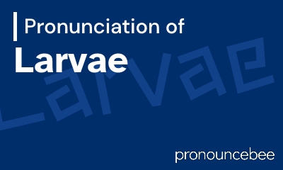 How To Pronounce Larvae - Correct pronunciation of Larvae