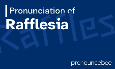 How To Pronounce Rafflesia - Correct pronunciation of Rafflesia