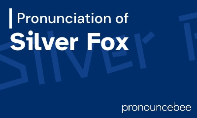 How To Pronounce Silver Fox - Correct pronunciation of Silver Fox