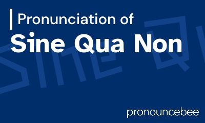 How To Pronounce Sine Qua Non - Correct pronunciation of Sine Qua Non